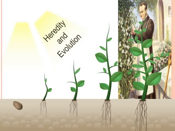 Introduction to Genetics.ppt