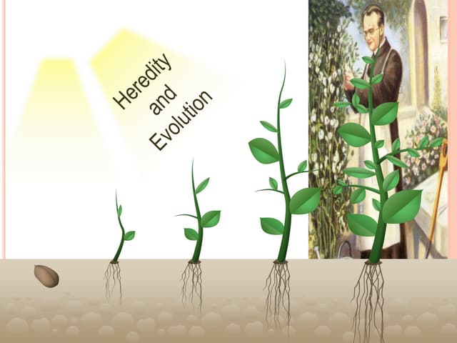 heredity class 10.pptx