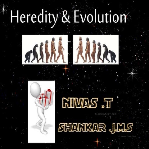Heredityevolution | PPTX | Genetics | Science