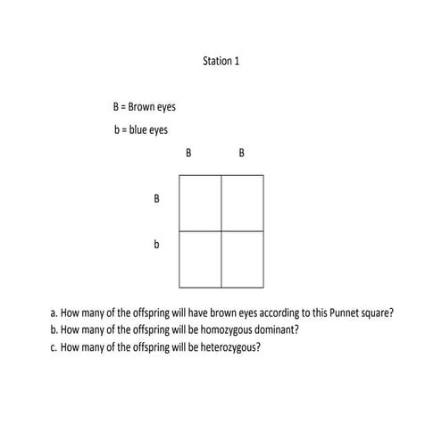 Heredity Stations Review | PPT