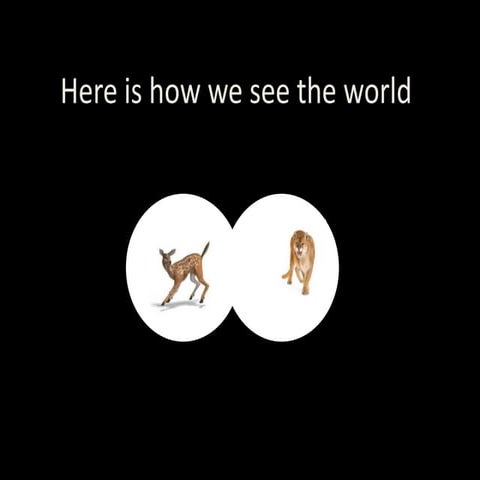 Here is how we see the world | PPT