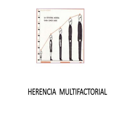 Herencia_Multifactorial. Est 2PO2024.pptx