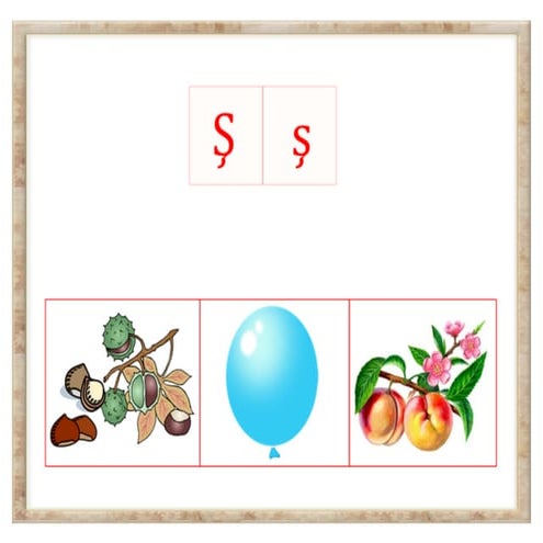 ş Herfi | PDF