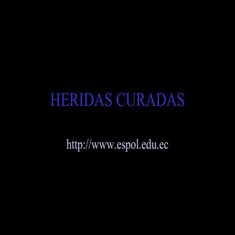 Heridas curadas | PPS