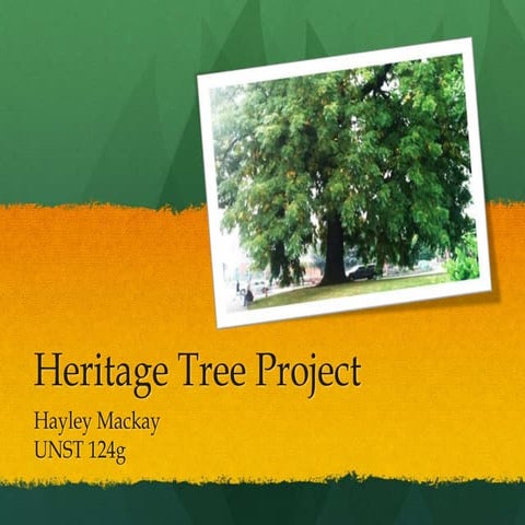 Heritage tree presentation | PPTX