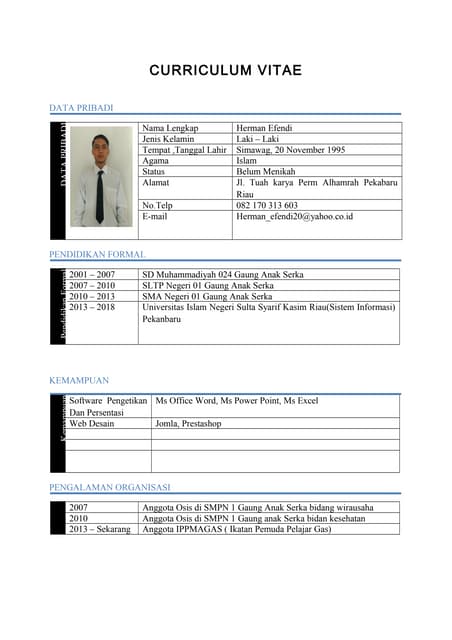 Cv laila | PDF