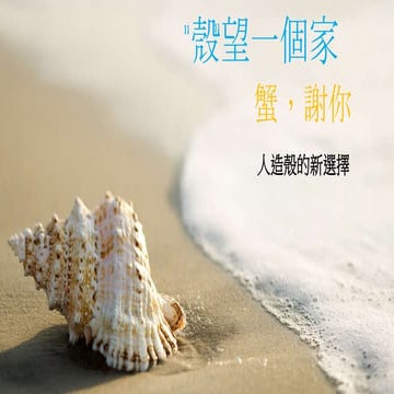 Restore Ubin Mangroves (R.U.M.) Initiative pamphlet (Chinese) | PDF