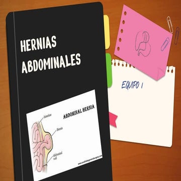 HERNIAS ABDOMINALES INTRA INGUINALES Y CONDUCTO INGUINAL | PDF
