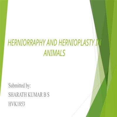 Herniorrhaphy and hernioplasty procedure in animals .pptx