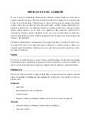 Spatele plan pdf
