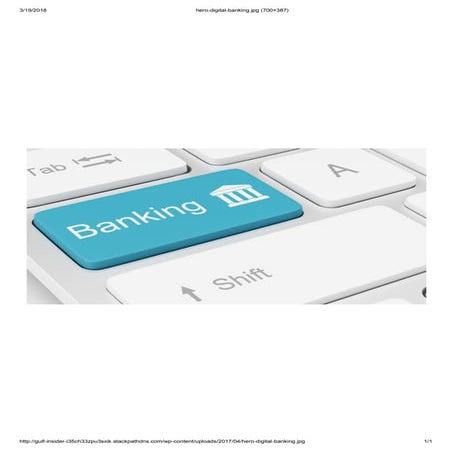 Hero Digital Banking | PDF