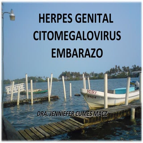 herpes virus y embarazo diagnostico y manejo | PPTX