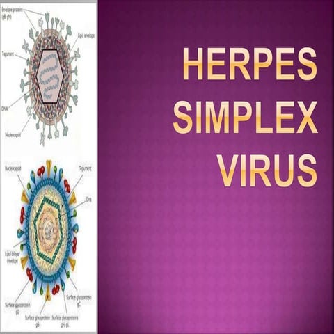 Herpes simplex virus | PPTX