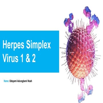 Herpes simplex virus 1 and 2 (HSV 1 and 2)) | PPTX