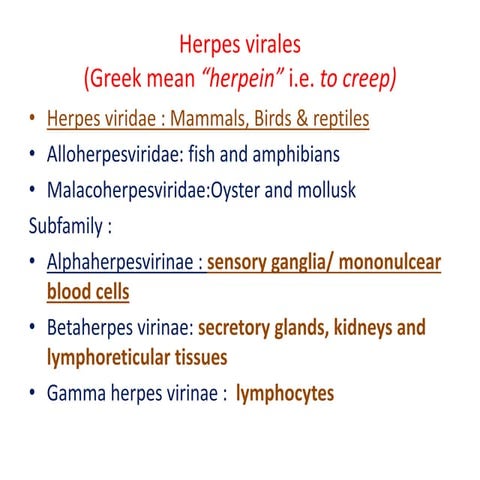 Herpes viridae.pptx virology family herpes virudae | PPTX