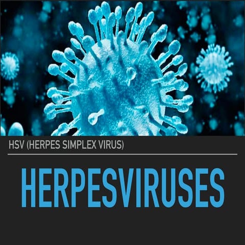 Herpesviruses | PPT