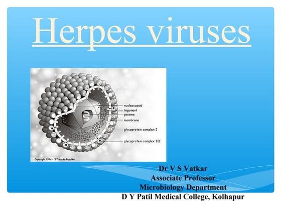 herpes simplex virus- ppt.pptx