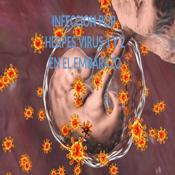 herpes virus y embarazo diagnostico y manejo | PPTX