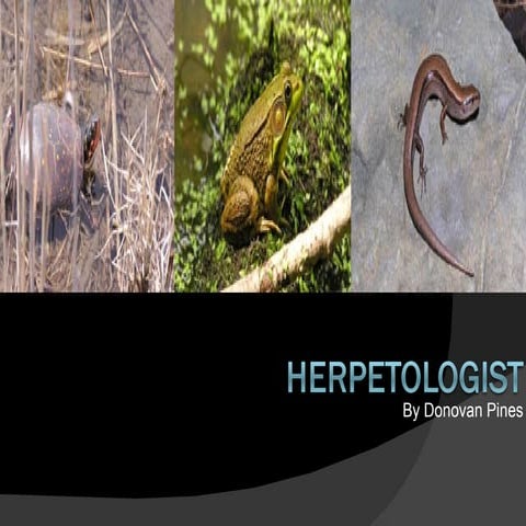 Herpetologist david rafael lipovac 8.e | PPT