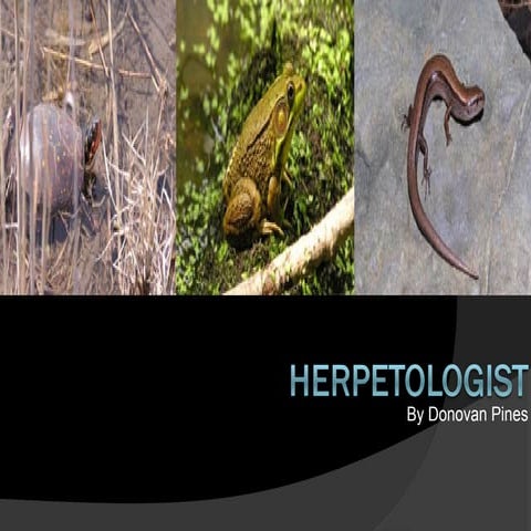 Herpetologist project reading | PPT