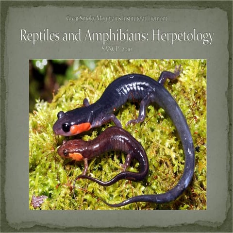 Herpetology sancp2010 | PPT