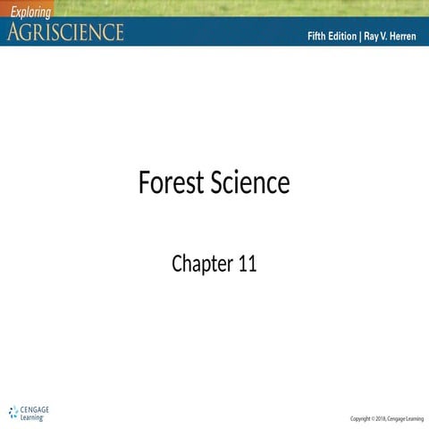 Forestry-Basics.ppt students presentation | PPT