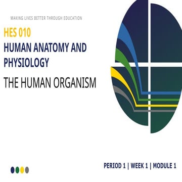 Chapter 1 Introduction to Anatomy and Physiology | PPTX