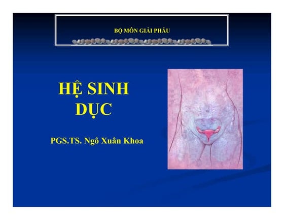 GIẢI PHẪU ỐNG BẸN | PDF