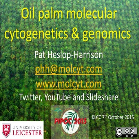 Chromosomes and molecular cytogenetics of oil palm: impact for breeding ...