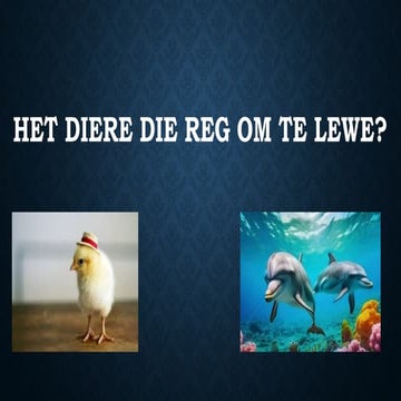 Het diere die reg om te lewe - Afrikaans pp.pptx