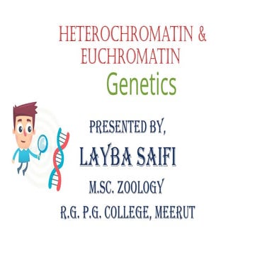 Heterochromatin & Euchromatin Genetics.pptx