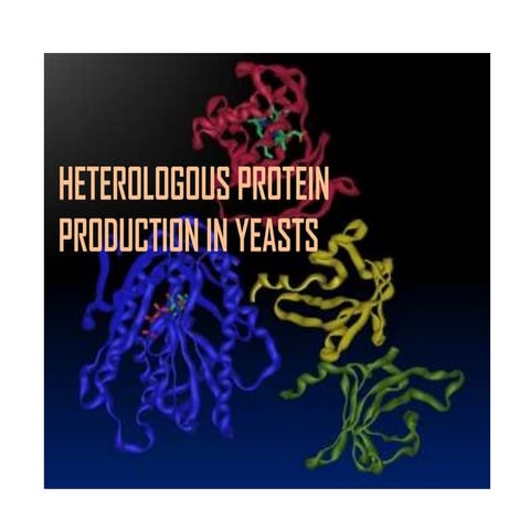 Heterologous proteins | PPTX