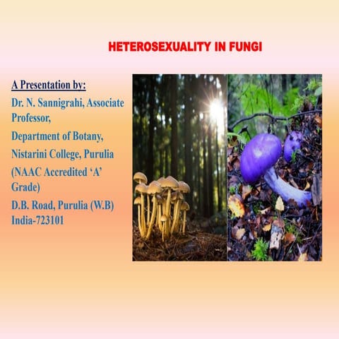 (Homothallism and heterothallism | PDF