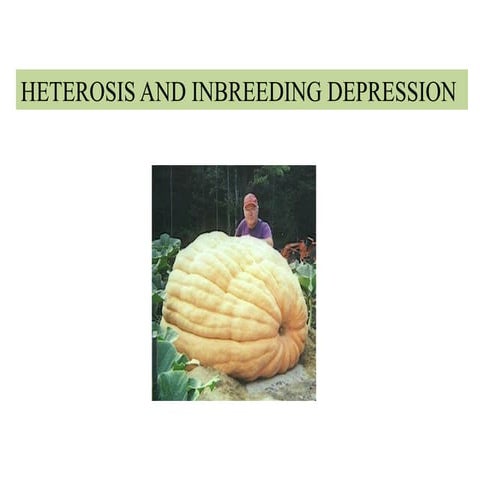 Heterosis And Inbreeding Depression Pptx