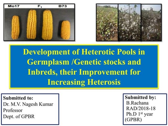 Biochemical basis of heterosis | PPTX
