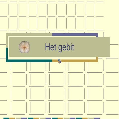 Het Gebit | PPT | Oral care | Personal Care