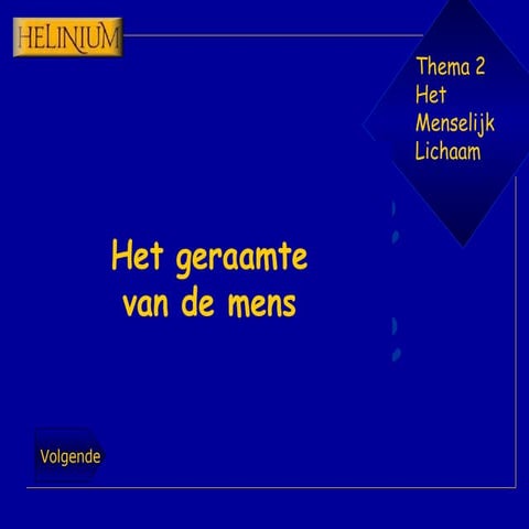 Het Geraamte 2 Vmbo | PPS