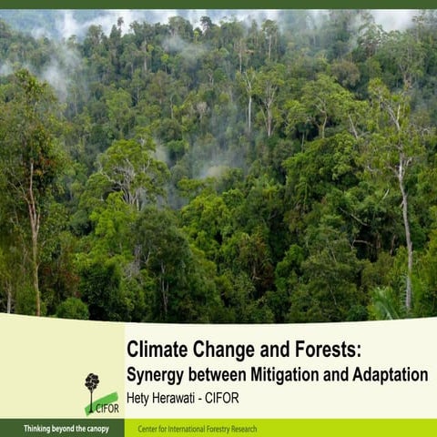Climate change and forests: Synergy between mitigation and adaptation ...
