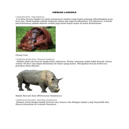 Hewan langka | PDF
