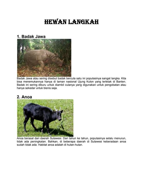 10 hewan langka | PDF