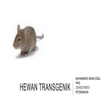 HEWAN TRANSGENIK ADAM pada hewan hasil dari peternakan sapi | PPTX