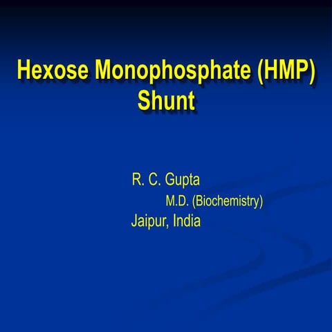 HMP SHUNT PATHWAY