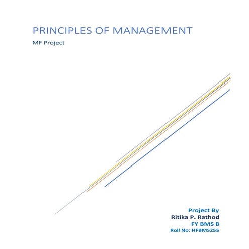 Principles of Management | PDF