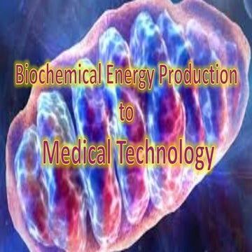 Chapter 6 biochemical energy production | PPT