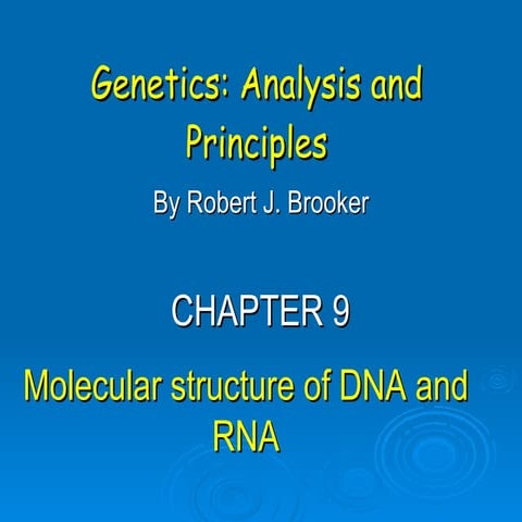 dna rna structure 1 | PPT