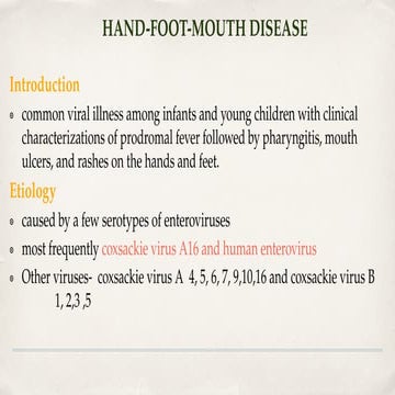 Hand foot & mouth disease | PPSX