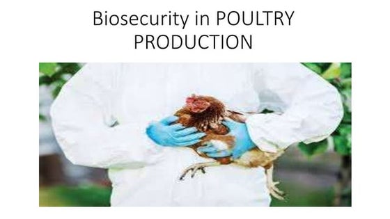Biosecurity of a poultry farm.pptx