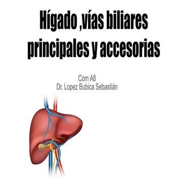 vias biliares irrigacion e inervacion ademas de drenja venoso | PPTX