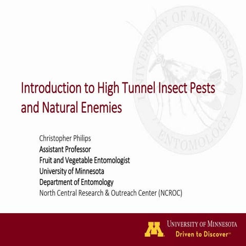 Intro to High Tunnel Insect Pests and Natural Enemies, 2015 | PPTX