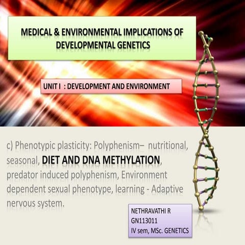 DNA methylation and Diet | PPTX